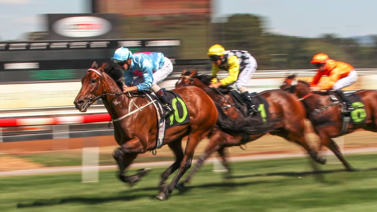 What's On in Canberra | Events Canberra