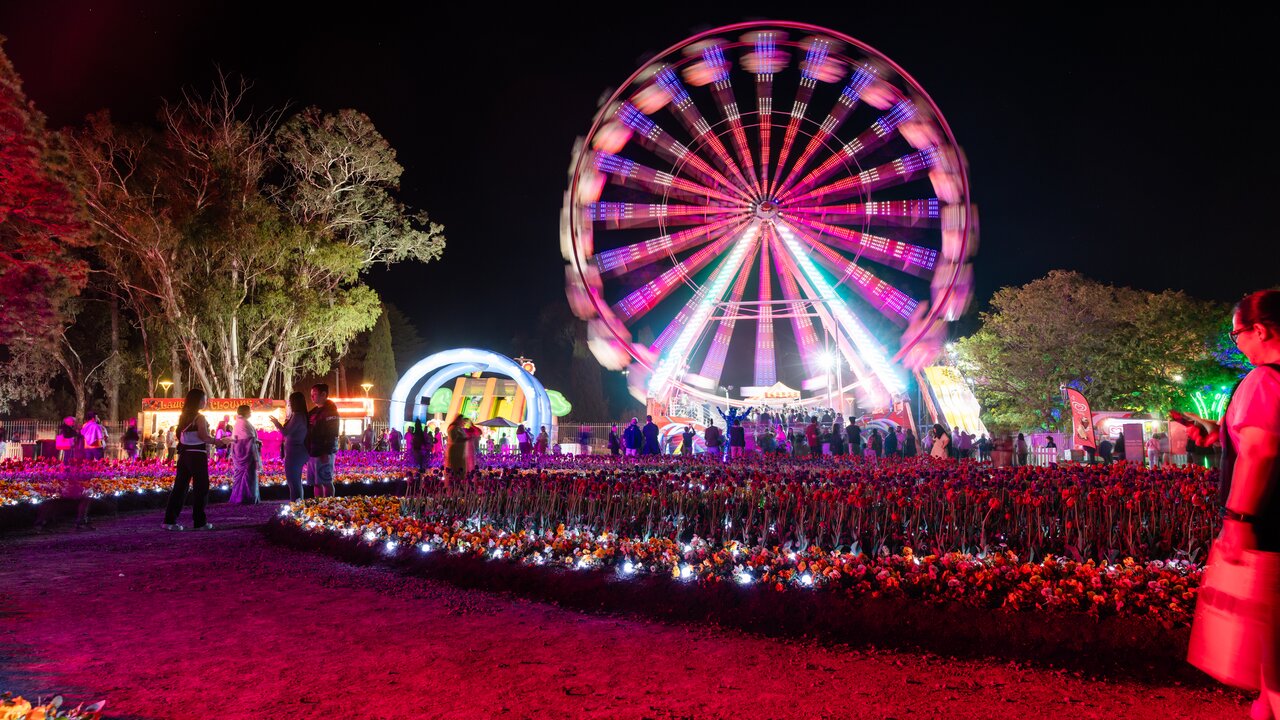 Major events 2024 | Events Canberra